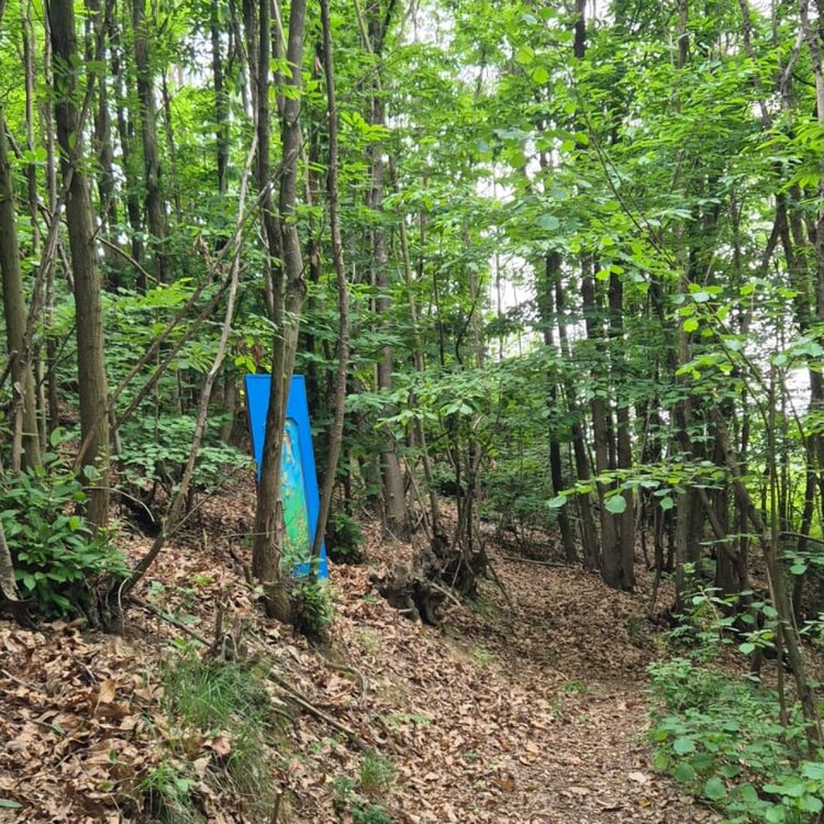 Muscatel Trail